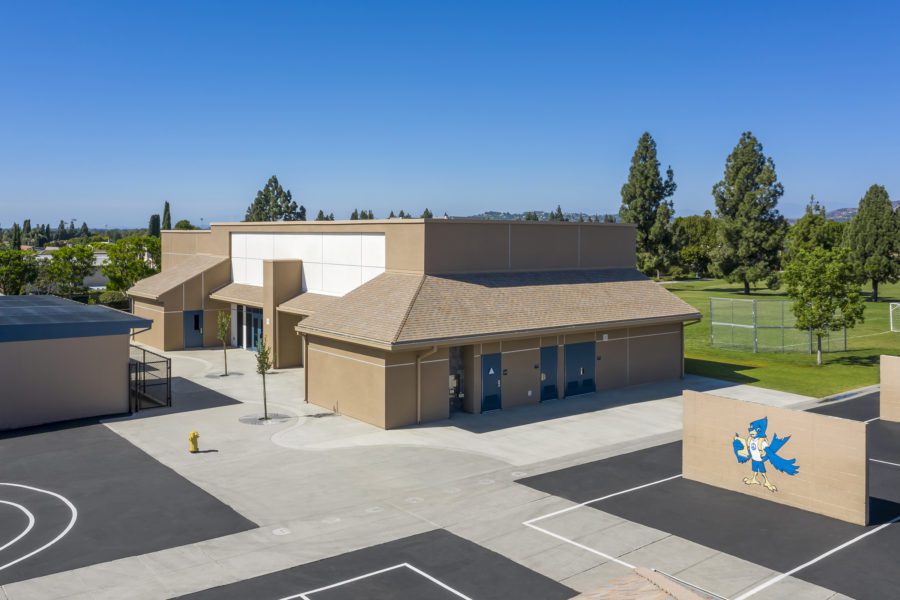 Connee Dickerson - StudioWC